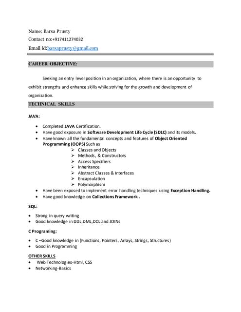Nasreen Resume | DOCX | Programming Languages | Computing