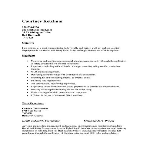 ZENITH PROFILE | DOCX