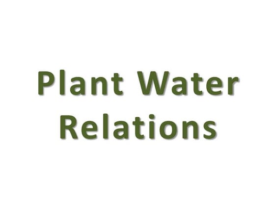Absorption of water ppt | PPT | Gardening | Home & Garden