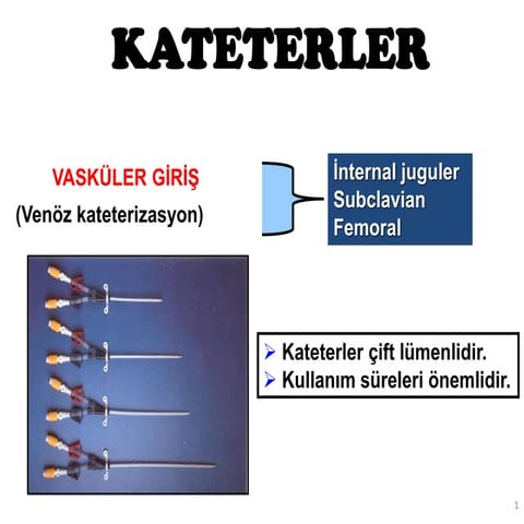 82-hd-vaskuler-giris.pdfğ ğqğwğwp ile bir 1️⃣ | PDF