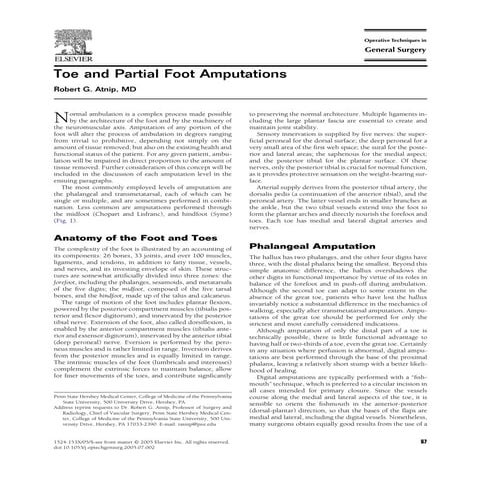 Toe and Partial Foot Amputations | PDF