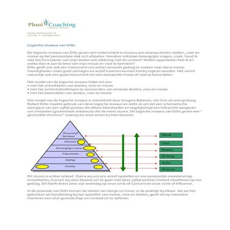 Logische niveaus Dilts | PDF