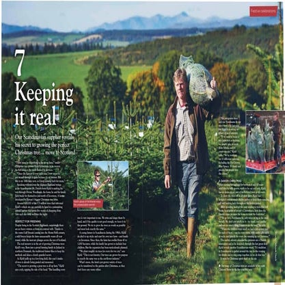 Trees feature | PDF | Woodworking | Arts and Crafts