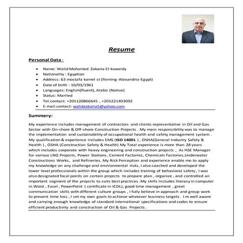 Walid Zakaria CV | DOCX