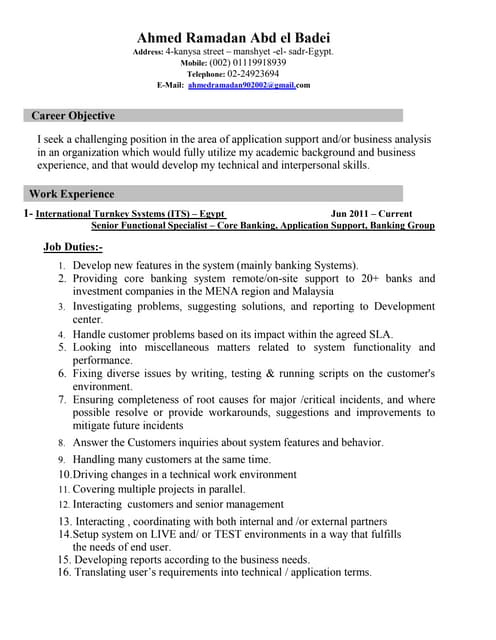 Mohamed Elsayed CV 2015 | PDF | IT and Internet Support | Internet