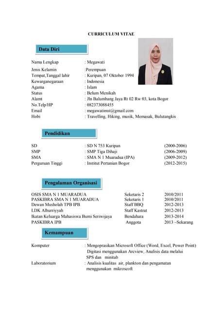 Cv laila | DOCX