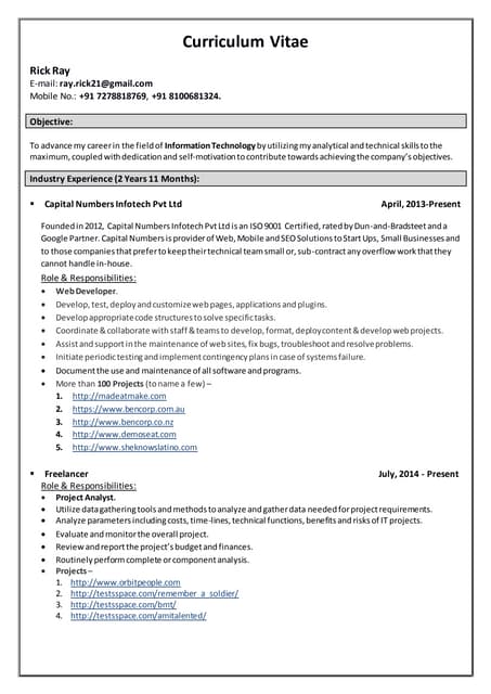 daniel_major_ cv_english | PDF