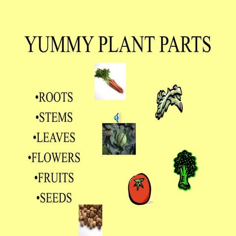 plant parts and job of different parts.ppt