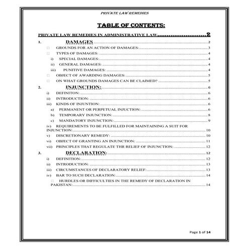 Brief Private Law Remedies in Administrative Law | PDF