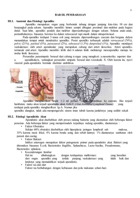 225881539 appendisitis-akut-laporan-kasus | DOC
