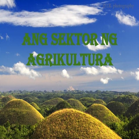 Ang Mga Sektor ng Agrikultura, paghahalaman, paghahayupan, pangugubat ...