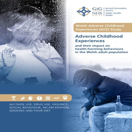 ACE Report FINAL (E) | PDF | Parenting | Family and Relationships