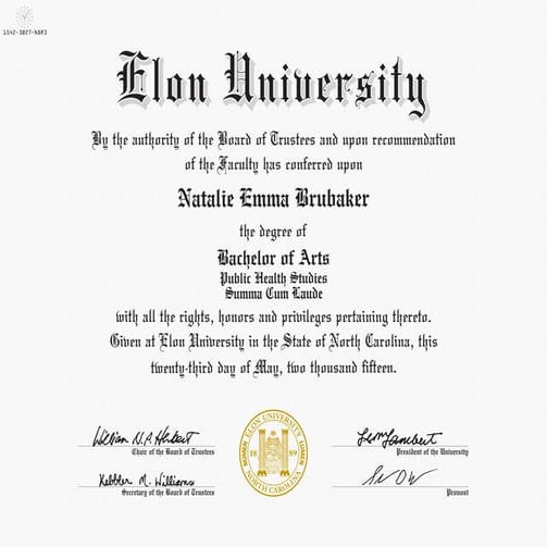 electronic diploma | PDF