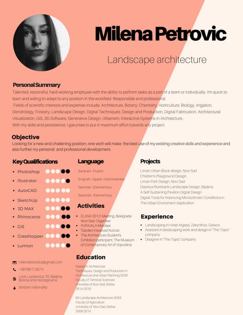 CV - English | PDF | Technology & Computing