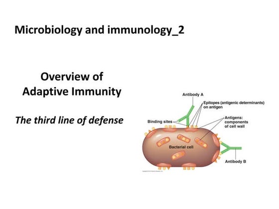 Lecture 1( Introduction to immunology).pptx | Infectious Diseases | Diseases and Conditions