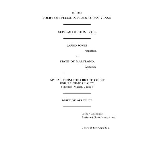 Appellate Brief (Grenness) | DOCX