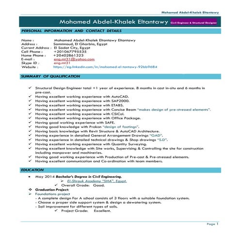 Mohamed El-Tantawy | PDF