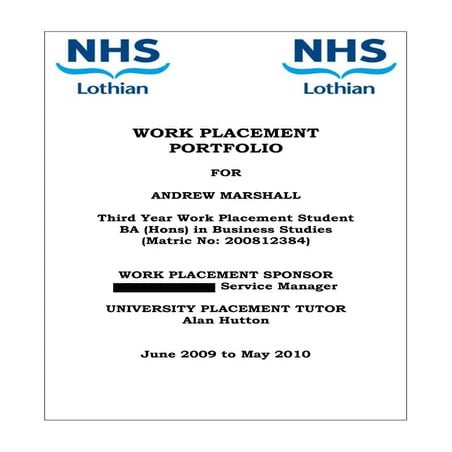 Work Placement Portfolio | PDF