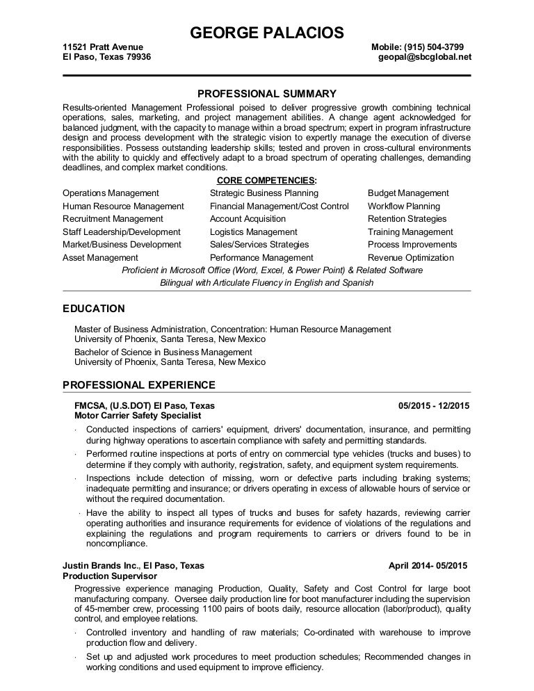 George Palacios Professional Resume