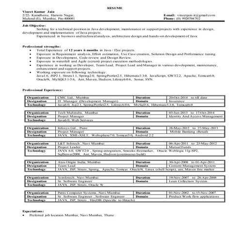 Vineet_Resume_Tech | DOCX | Web Development | Internet