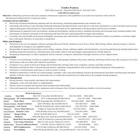 MLE'S RESUME | DOC