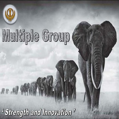 Multiple Group Profile - New Version 2013 | PDF
