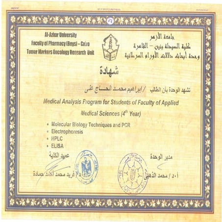 AL-AZHAR UNIVERSITY TRAINING | PDF