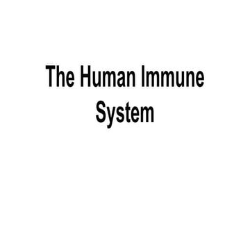 The Human Immune System | PPTX
