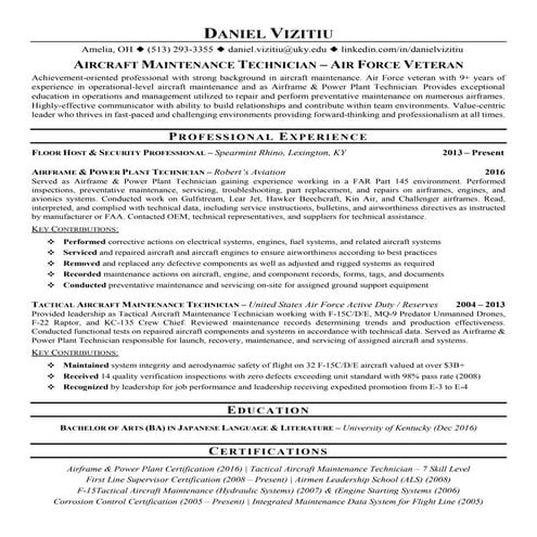 Daniel Vizitiu Resume | PDF