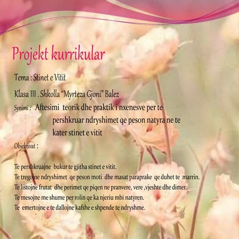 4 Stinet e Vitit | PPTX