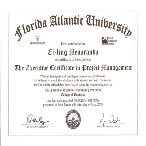 FAU PMP Certificate0001 | PDF