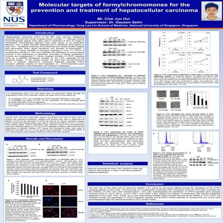 poster FINAL | PDF | Cancer | Diseases and Conditions