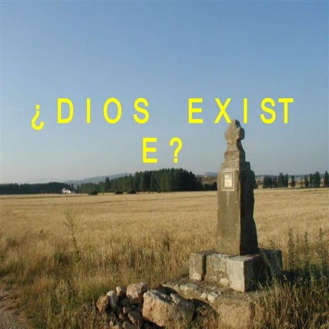 CV PeterdeValk 2016 | PDF