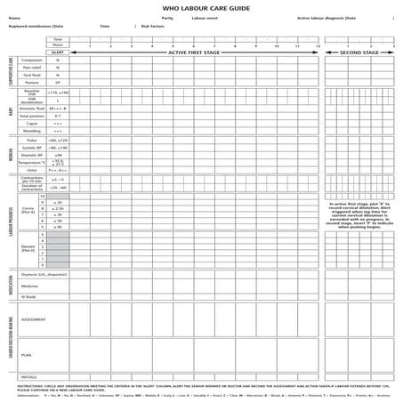 WHO user's manual labour care guide.pptx