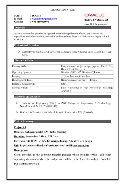 Brijesh_CV(1) | DOCX | Web Development | Internet