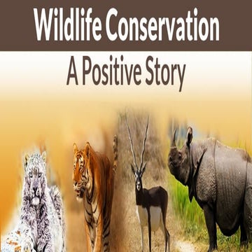 841432153-Wildlife-Conservation-PPT-New.pptx