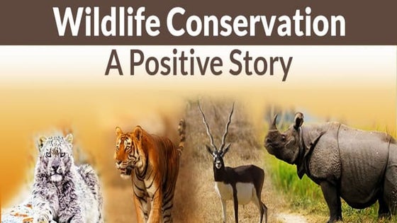 Presentation on nature and wildlife conservation | PPTX