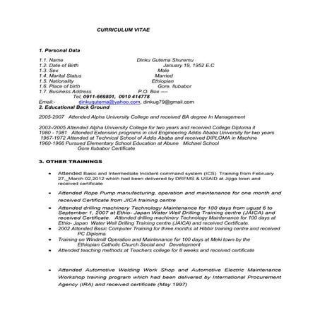 Curriculum Vitae | PDF