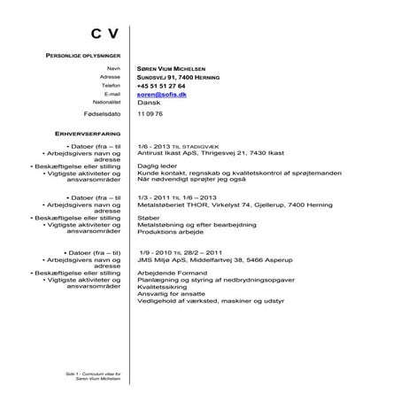 CV_februar 2015 | PDF