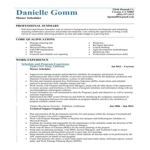 Nilesh_Resume | DOC