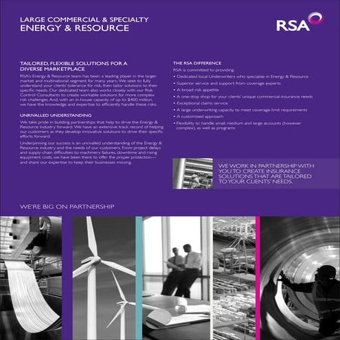 RSA Energy & Resource | PDF | Financial Industry | Industries