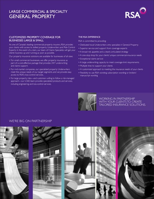 RSA Energy & Resource | PDF