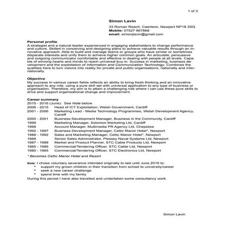 Simon Lavin CV Feb 7th | PDF