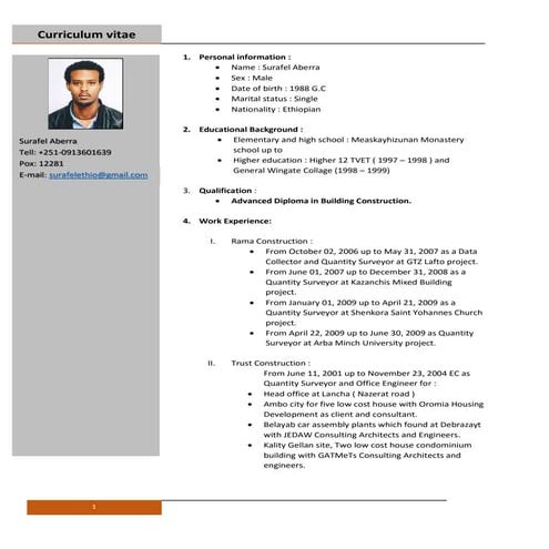 surafel cv pdf | PDF