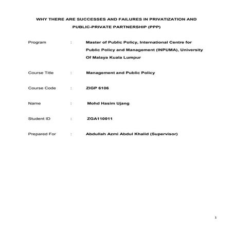 Privatization and Public Private Partnership (PPP) | PDF