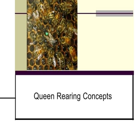 Concepts of Queen Rearing for the beekeepers | PPTX
