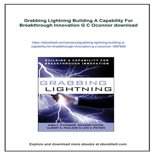 Grabbing Lightning Building A Capability For Breakthrough Innovation G ...