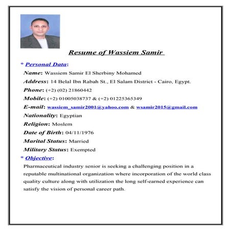 Helmy CV | DOCX