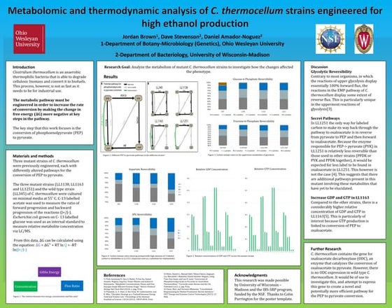 B. Hodges NIH Amgen Poster Presentation | PPTX | Blood Disorders | Diseases and Conditions