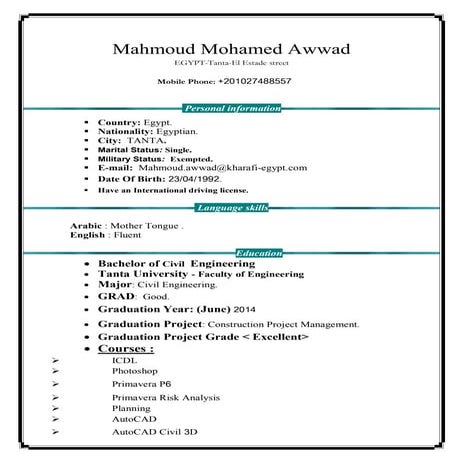 CV-Mahmoud Awwad | PDF